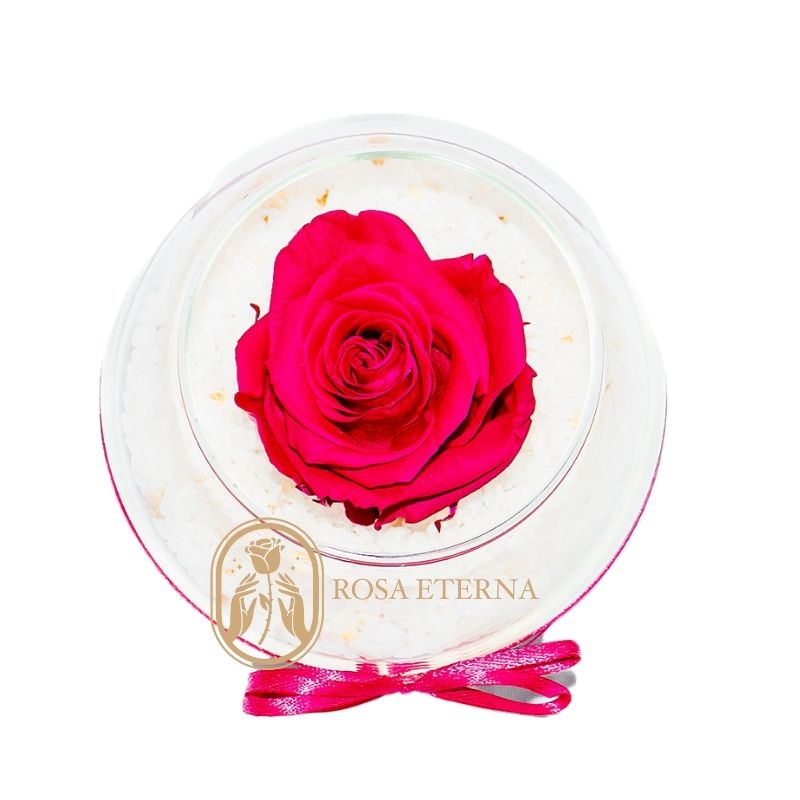 Forever Fucsia – Rosa Eterna